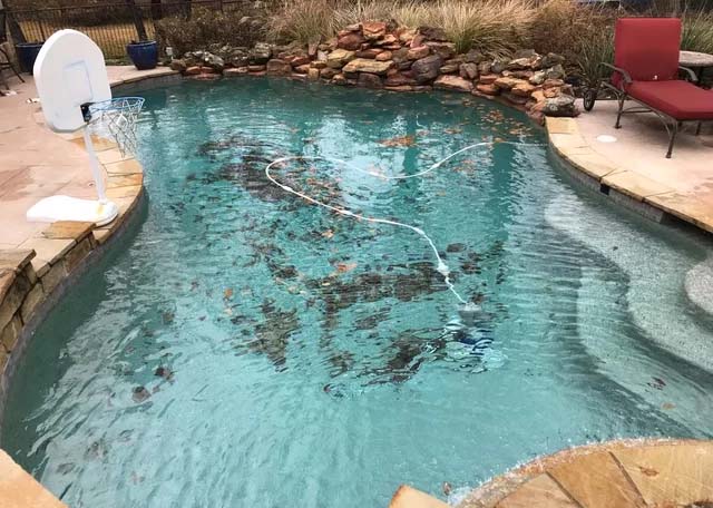 Pool Cleaning & Maintenance in Miami | Fiberglass Pools Miami LLC